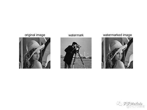 【图像隐写】基于分数傅里叶结合svd实现数字水印嵌入攻击提取frft Svd含matlab源码 Matlab仿真博客的技术博客 51cto博客