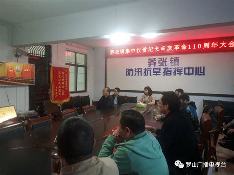 罗山县莽张镇组织集体观看纪念辛亥革命110周年大会习近平