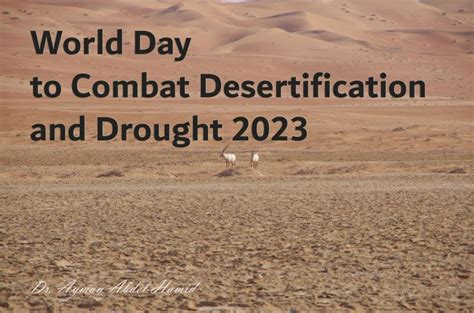 ayman abdel hamid phd on linkedin environmental sustainable