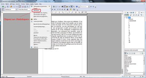 Comment Connaître Le Nombre De Signes Ou Caractères De Mon Document Libres Décrire Auto