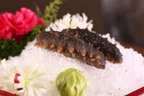 Sea Cucumber Helping Build Sex Hormones The Natural Way