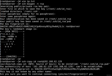 第五次作业 Csdn博客