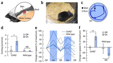 Wirelessly Powered Fully Internal Optogenetics For Brain Spinal And Peripheral Circuits In