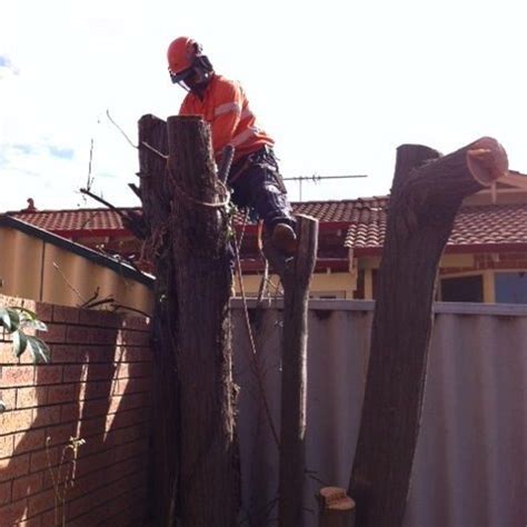 Mandurah Perth Tree Services