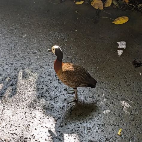 Pretty Upsetting That Any Female Athlete Can Face Enormous Amounts Of