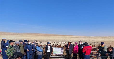 Itoim Бог малын ангилагч шинжээч бэлтгэх сургалт зохион байгуулав