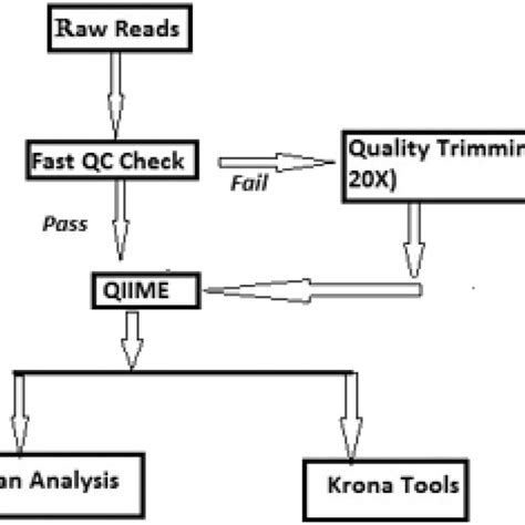 Workflow For Metagenomic Dna Sequencing Analysis Download Scientific
