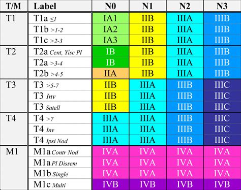 The Eighth Edition Lung Cancer Stage Classification Chest
