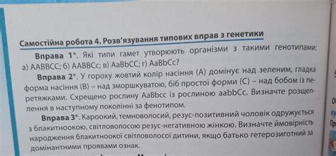 Самостійна робота 4 Розвязування типових вправ з генетики Вправа 1 Які типи гамет утворюють