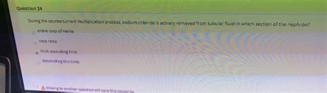 Solved Question 24 During The Countercurrent Multiplication