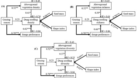 Structural Equation Modeling Of The Relationships Between The Dung Download Scientific Diagram