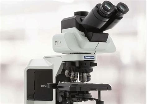 Bx53 System Microscope Omnibus Bio Medical Systems Inc
