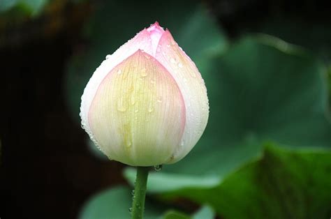 아부라 On Twitter 꿈없는 네 하얀 살결에나마 기어이 불길한 꿈 하나는 남기고 가마 바람도 소리도 빛도 없는 세월이여