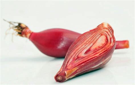10 Manfaat Bawang Dayak Bagi Kesehatan Tak Terduga