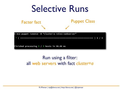 Selective Runs Facter Fact Puppet