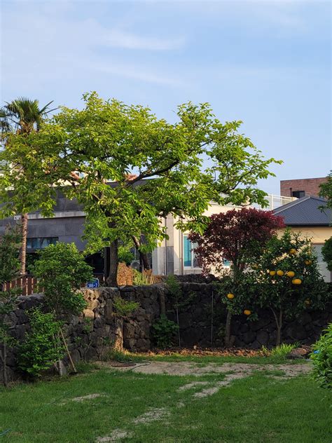 창식 시샘 알아도and몰라도 알아도에는 저물녘 바닷가처럼 말없는 사람들이 산다 진실 앞에서도 아무일 없다는 듯 모래를 쌓는다 몰라도에는 가로등 아래 그림자를 감춘