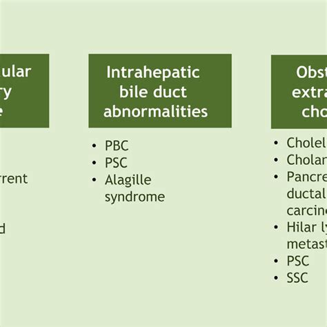 Prevalence Of Pruritus In The Main Cholestatic Diseases Download Scientific Diagram