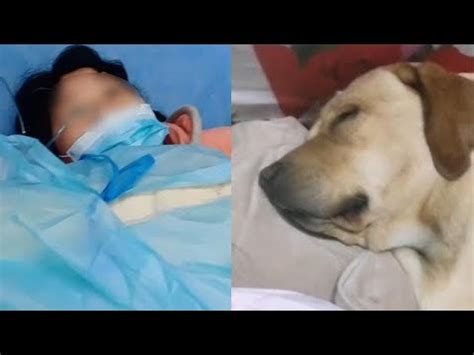 女子煤气中毒被自家狗舔脸唤醒瞬间没意识没有它可能没命了 YouTube