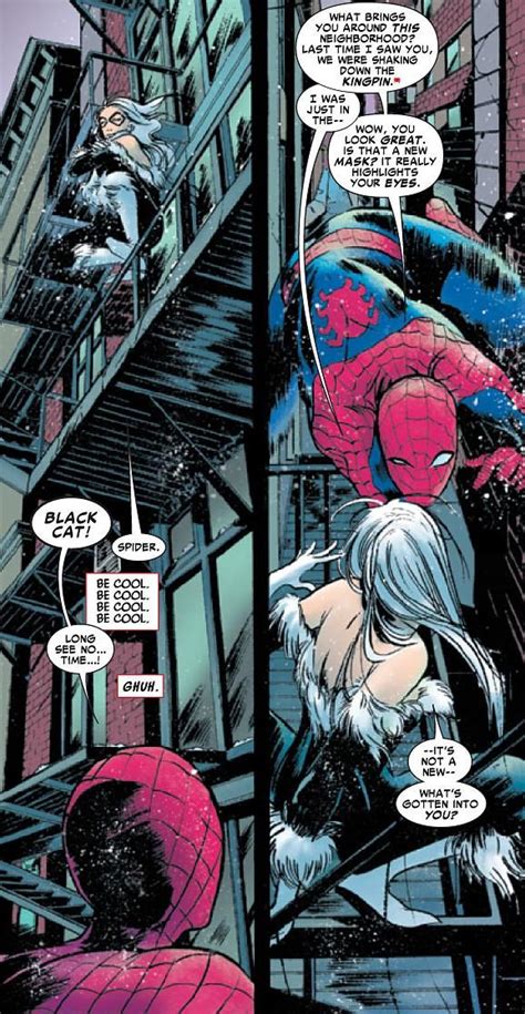 Black Cat Spider Man Black Cat Comics Spiderman Black Cat Black
