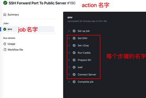 白嫖系列 基于github action和国内公网服务器构建免费科学工具 cccccoke