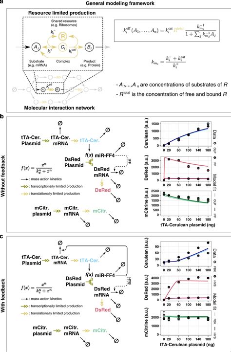 A Resource Aware Mathematical Modeling Framework A General Framework Download Scientific