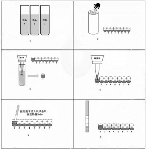 Colloidal Gold Immunochromatographic Assay Test Strip For Detecting Dexamethasone Residues In