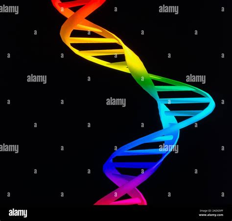 Deformed Dna Molecule Computer Generated Model Of A Segment Of The