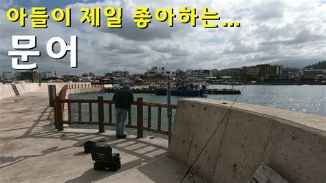 너무나 잡고 싶은 맛있는 문어 잡아서 먹어야 하는데 Youtube