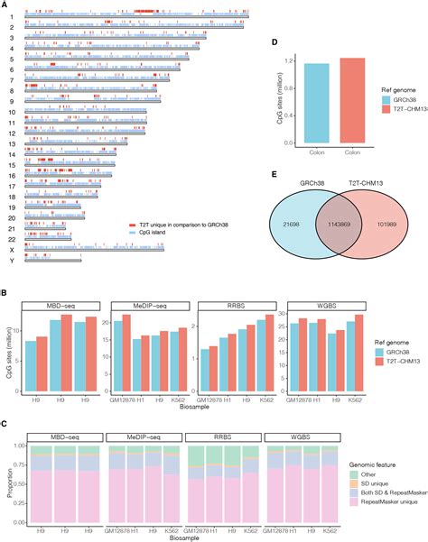 Complete Reference Genome And Pangenome Improve Genome Wide Detection And Interpretation Of Dna