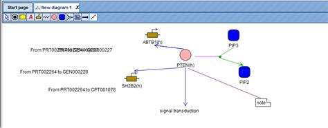 Editing And Creating Diagrams — Genexplain Platform Documentation