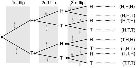 Tree Diagram Explanation And Examples