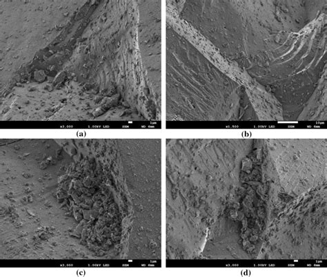 Sem Micrographs Of Bulging Recrystallization Low Temperature Along