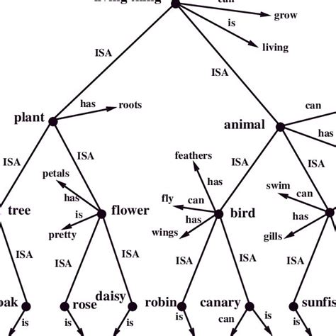 Pdf Why There Are Complementary Learning Systems In The Hippocampus And Neocortex Insights