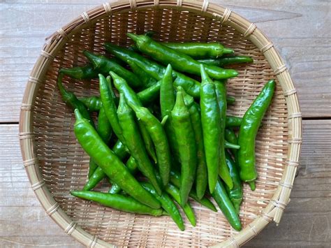 唐辛子（生唐辛子、乾燥唐辛子など） Fu Do Ku Kan Bamboo