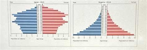 Solved Part 2 Comparison And Interpretation Of Age And Sex