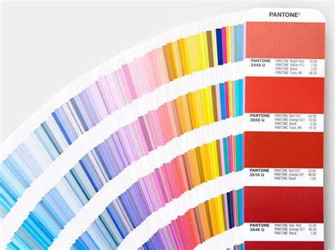 Plastic Injection Molding Quote 5 Things To Prepare Alpine Mold