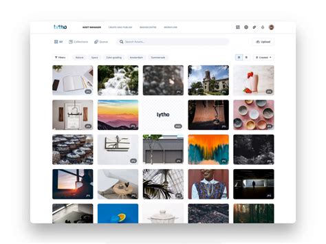 Asset Manager Lytho By Yummygum On Dribbble