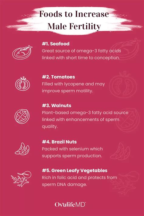 Foods To Increase Male Fertility Choosing Foods To Increase Sperm Count