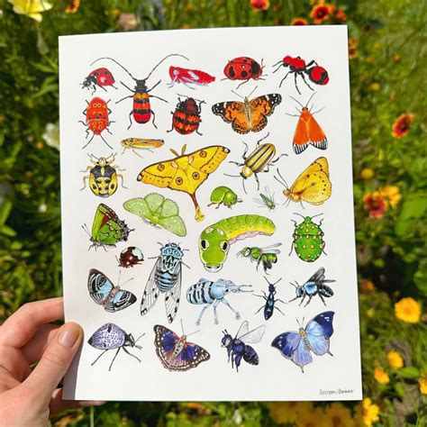 Rainbow Insects Print 8x10 Allison Stoiser Art