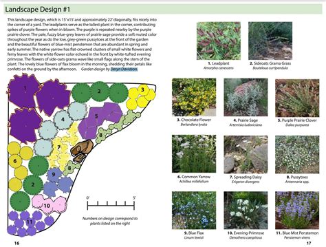 Transition Your Garden To A Vibrant Coloradoscape