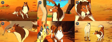 New Adventures Of Lassie S1 E8 Lassie Montage 2 By Giuseppedirosso On