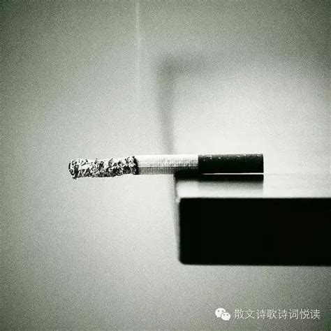 精品悅讀 畢淑敏 像煙灰一樣鬆散 每日頭條