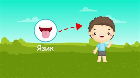 Частини тіла Українською мовою 🌈 Youtube