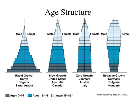 Ppt Population Dynamics Powerpoint Presentation Free Download Id