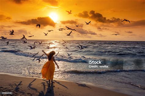 아름 다운 하늘과 함께 일출의 바다 풍경 해변에 여자 여름철 공중에 손을 얹은 젊고 행복한 여자가 주황색 드레스를 입고 해변을 걷고 있습니다 해변을 날아 다니는 갈매기