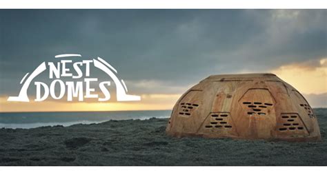 How Does Climate Change Impact Turtle Sex Ratios The Happy Turtle Straw