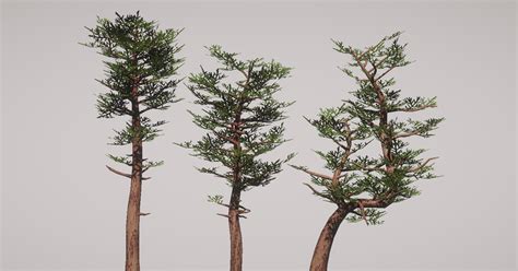 Stylised Pine Trees 3d Vegetation Unity Asset Store