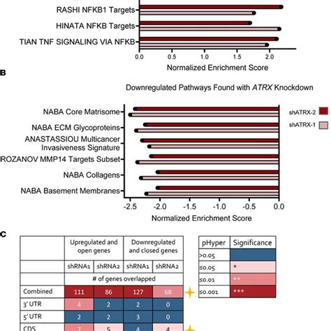 Rna Seq Identifies Upregulation Of Several Nf κb Pathways And