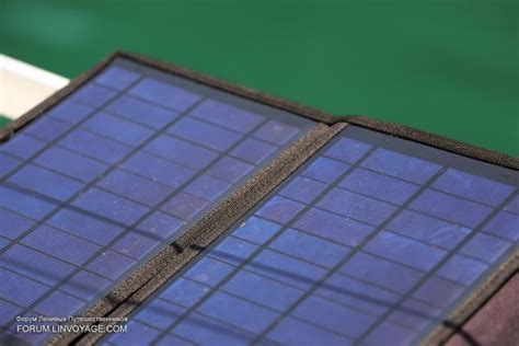 배경 화면 스포츠 바다 물고기 여름 비키니 말레이시아 태국 어업 항해 뗏목 랑카위 참치 집 밖의 새 소녀 대양 섹시한 도약 해조 극한의