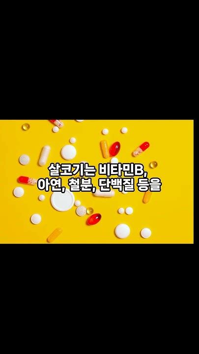 단백질 함유량이 많은 식재료 Top5 단백질 운동 식단 Tmi 단백질식단 Youtube